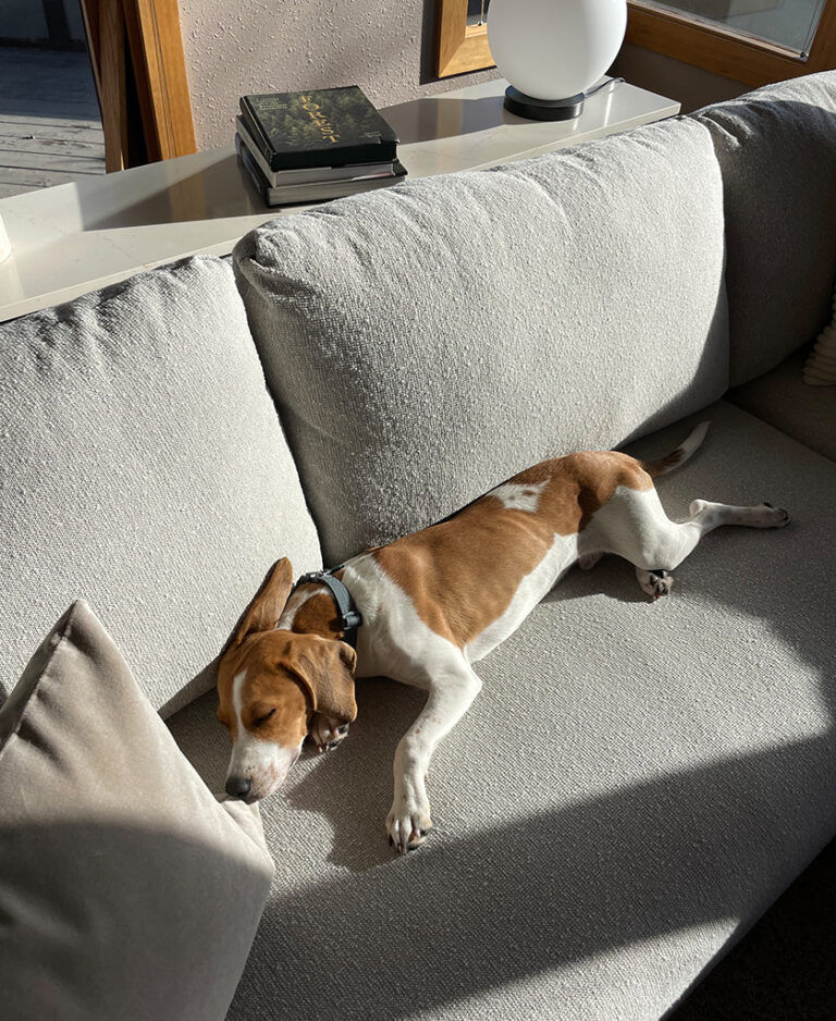 A Recipe for Restful Space: Ann Kim’s Modern Cabin Refresh - Room & Board